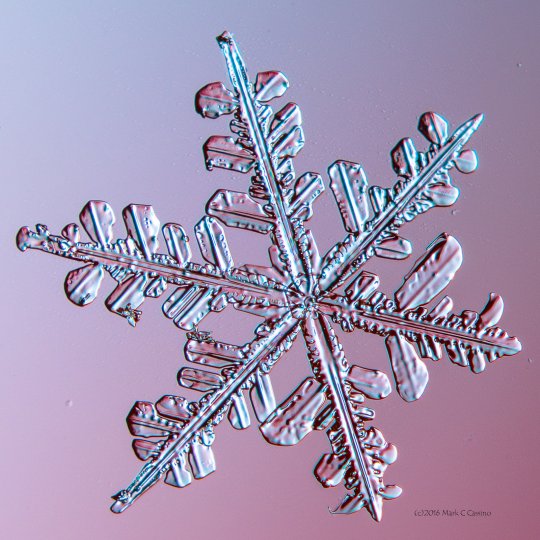 First Snowflake Photo of 2015